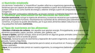 cuidado de la vida alimentación y nutrientes 1 segundo.pptx