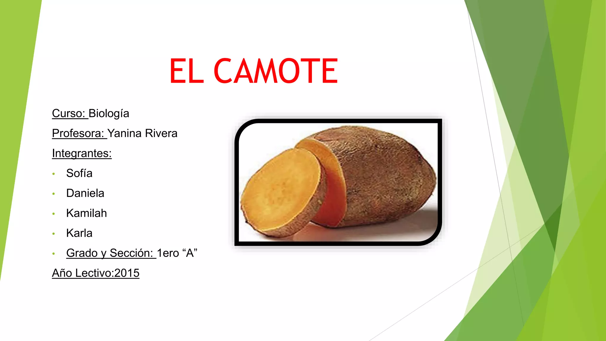 EL CAMOTE Y RECETAS | PPT