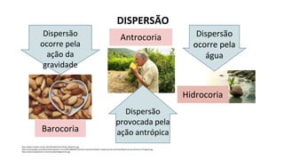 biologia_2ªsérie_slides_aula27_revisada.pptx