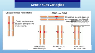 Biologia_3ª Série conceitos básicos genética.ppt