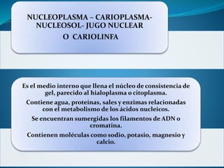 NÚCLEO CELULAR CLASE 6 | PPTX
