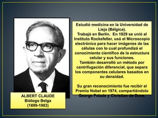 Biología estudio de la celula orgánulo mitocondria | PPTX