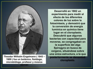 CLOROPLASTOS CLASE 9 | PPTX