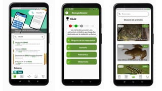 App del mes de març_2024_biologia básica | PPT