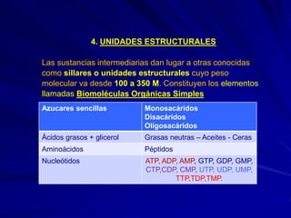 BIOLOGIA CELULAR 2 2025 jerarquia de organizacion | PDF
