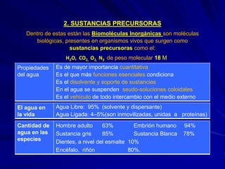BIOLOGIA CELULAR 2 2025 jerarquia de organizacion | PDF