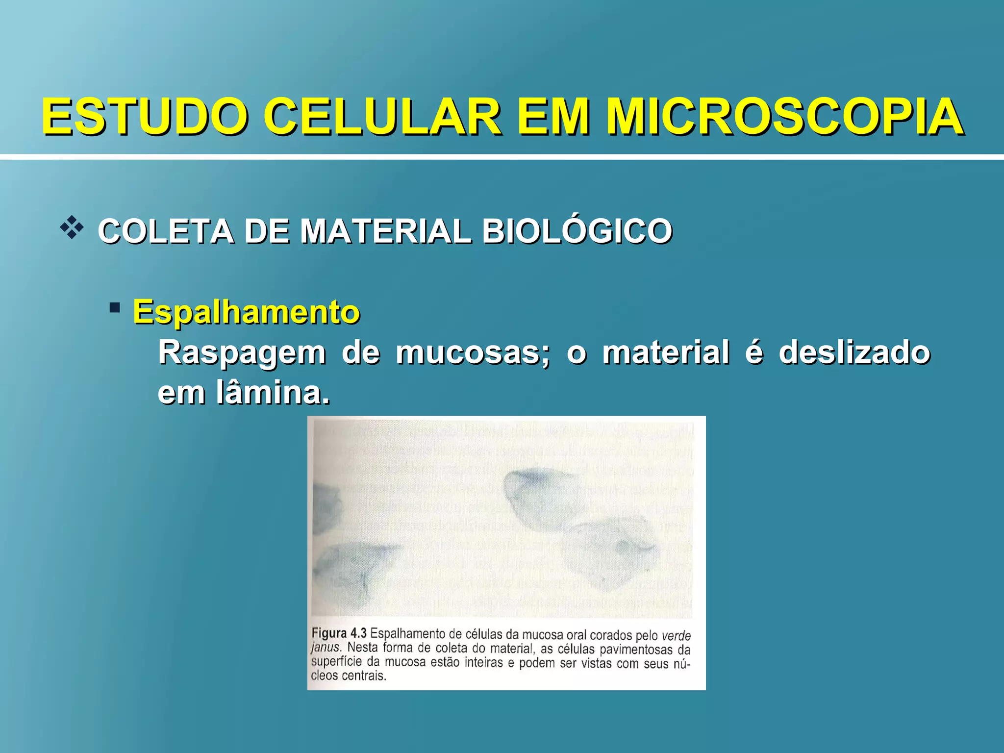 Biologia celular métodos de estudo em biologia celular parte 1 | PPT