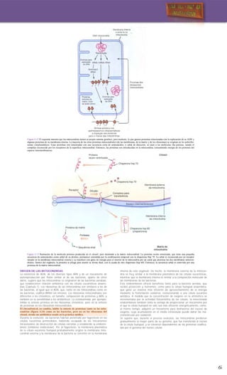 BIOLOGIA_CELULAR_Y_MOLECULAR_9NA_EDICION (1).pdf