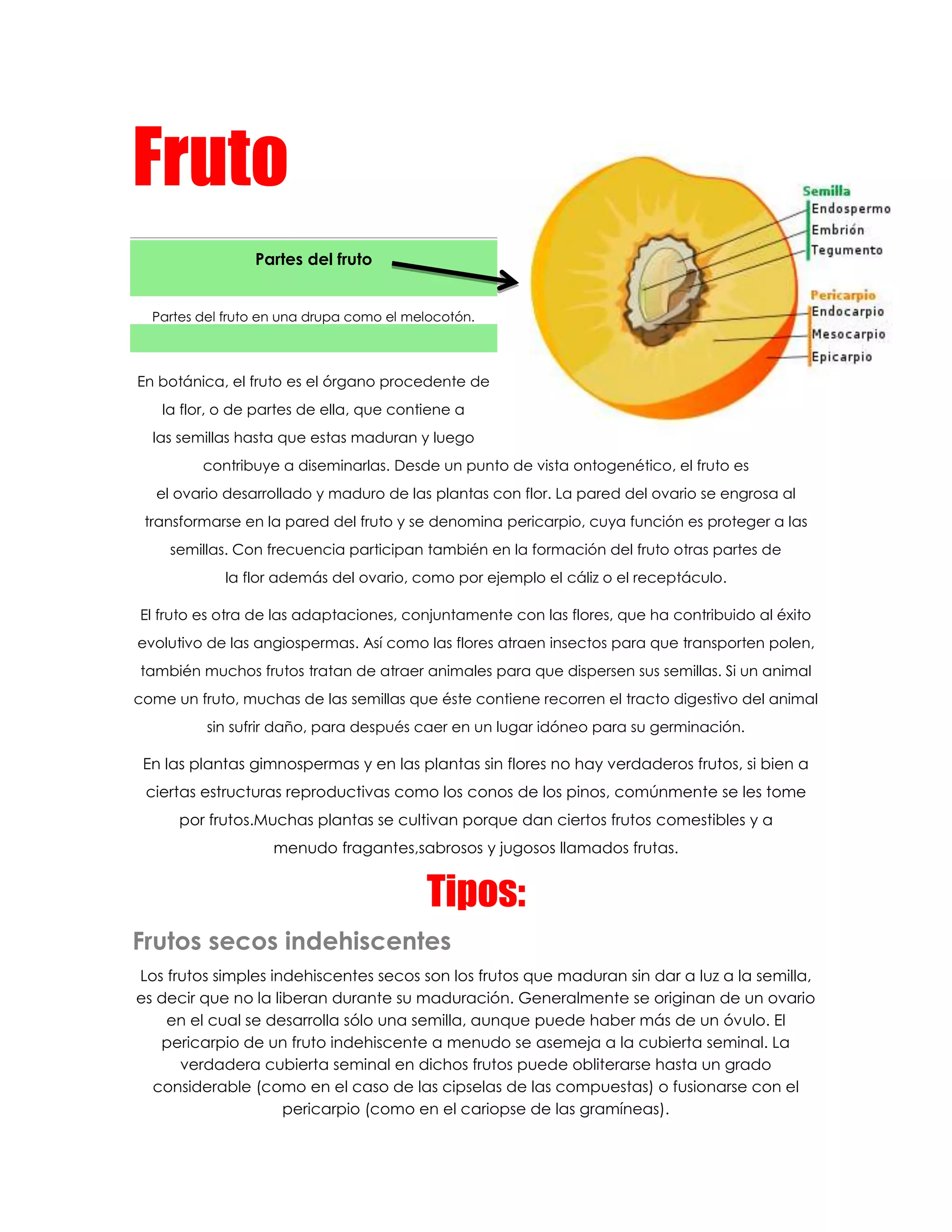 Biologia (fruto) | DOCX