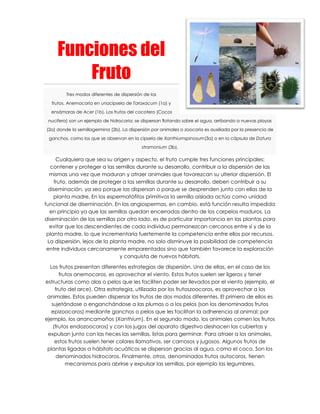 Biologia (fruto) | DOCX