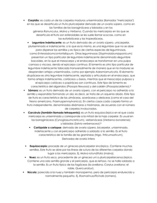 Biologia (fruto) | DOCX