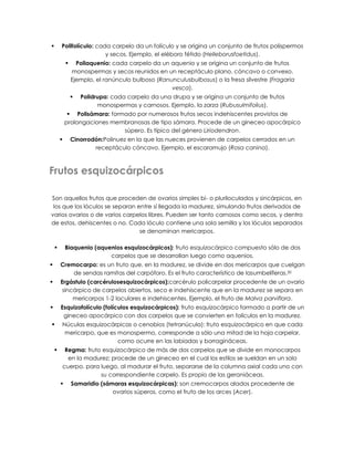 Biologia (fruto) | DOCX