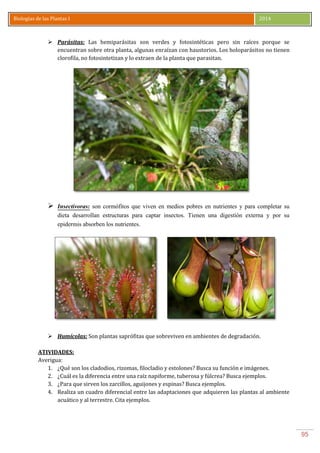 Biologia de las plantas | PDF | Biological Sciences | Science