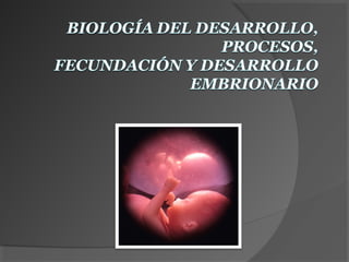 Biologia Del Desarrollo