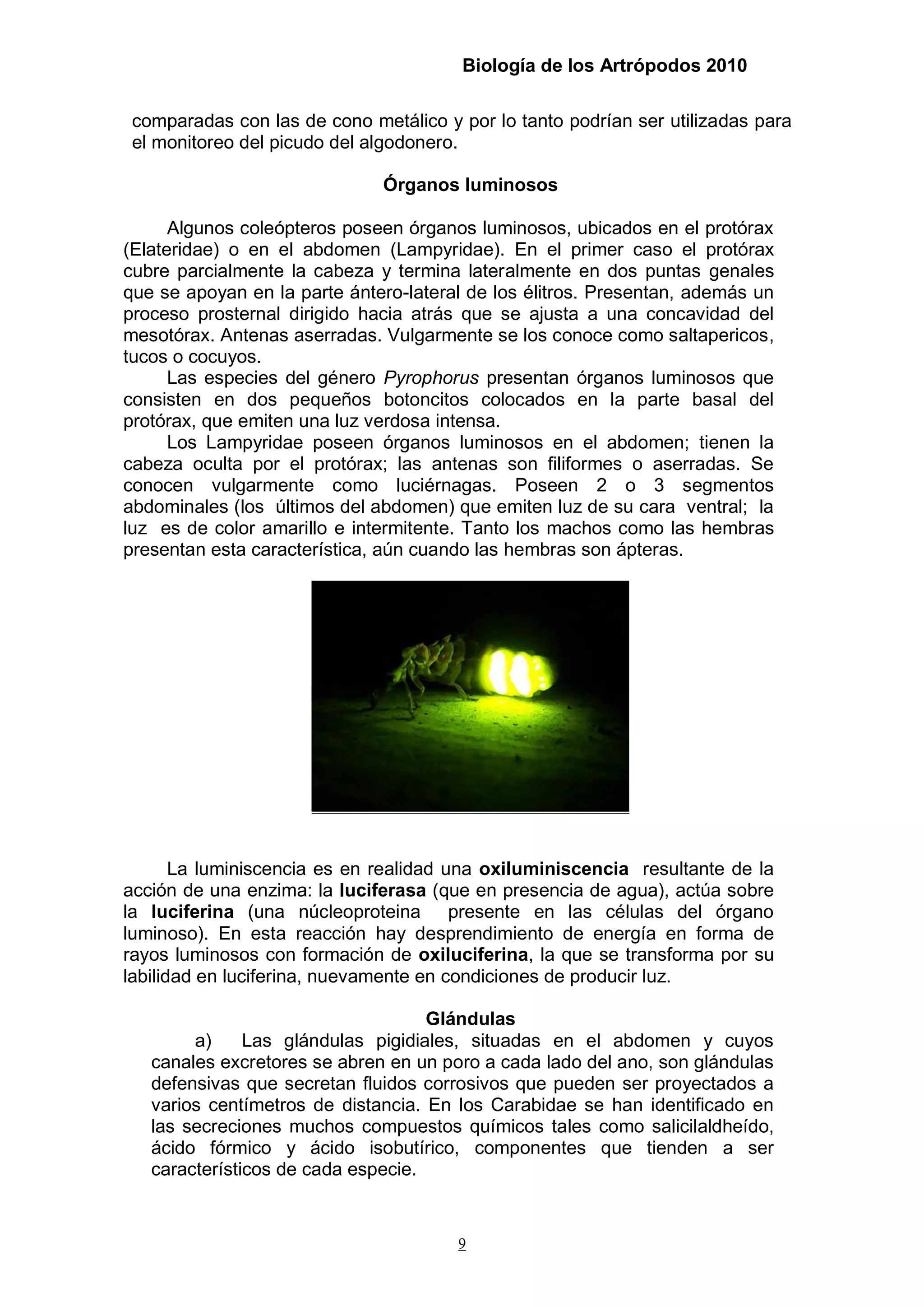 Biologia de los_artropodos_2010_orden_co | PDF