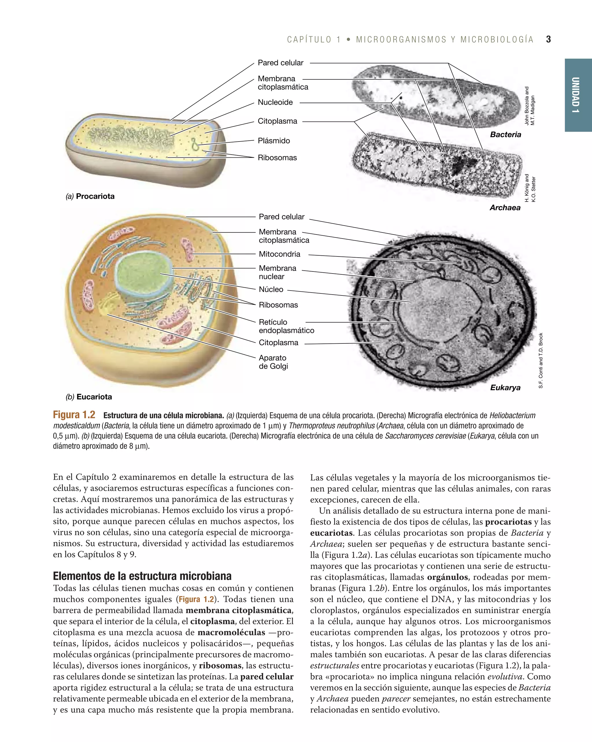 Biologia_de_los_microorganismos_BROCK.pdf