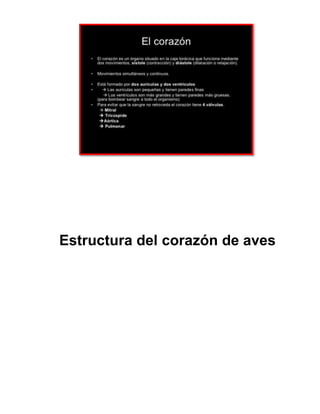 Biologia(diseccion del corazon) | DOCX