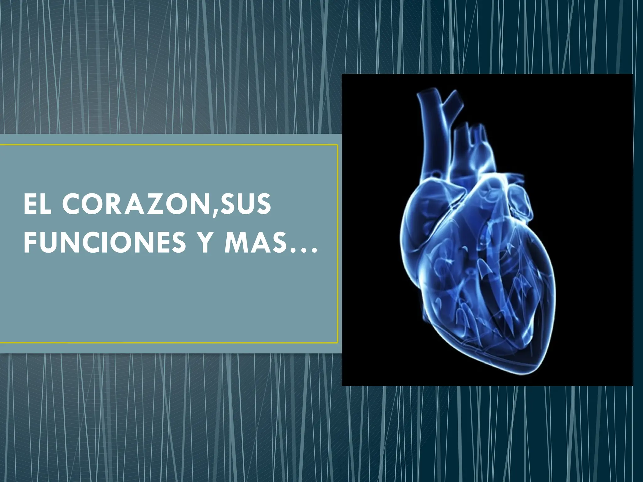BIOLOGIA DEL CORAZON, SUS FUNCIONES Y MAS.pptx