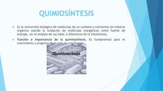 biologia exposicion.pptx