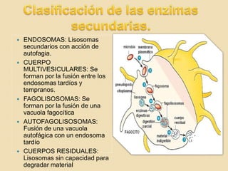 Organelos de la célula | PPTX