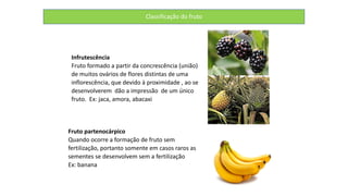 Biologia Floral , Morfologia de Frutos e Sementes.pdf