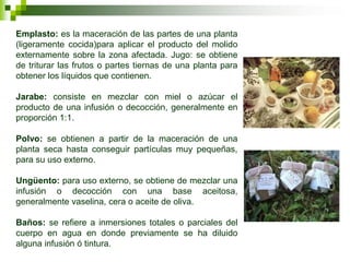 Biologia herbolaria | PPTX