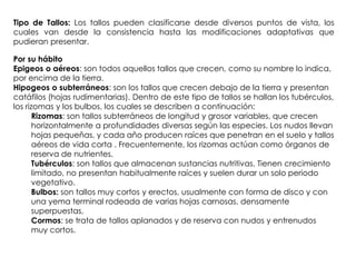 Anatomía de las plantas (Biología). | PPSX
