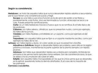Anatomía de las plantas (Biología). | PPSX