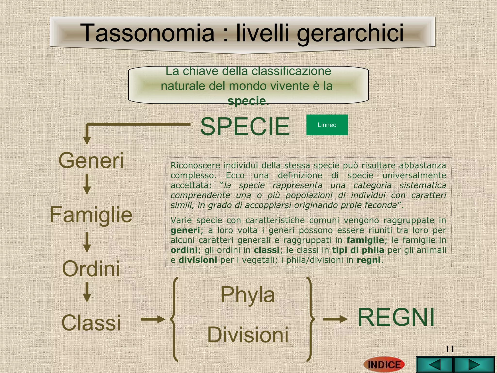 Biologia Introduzione Ppt