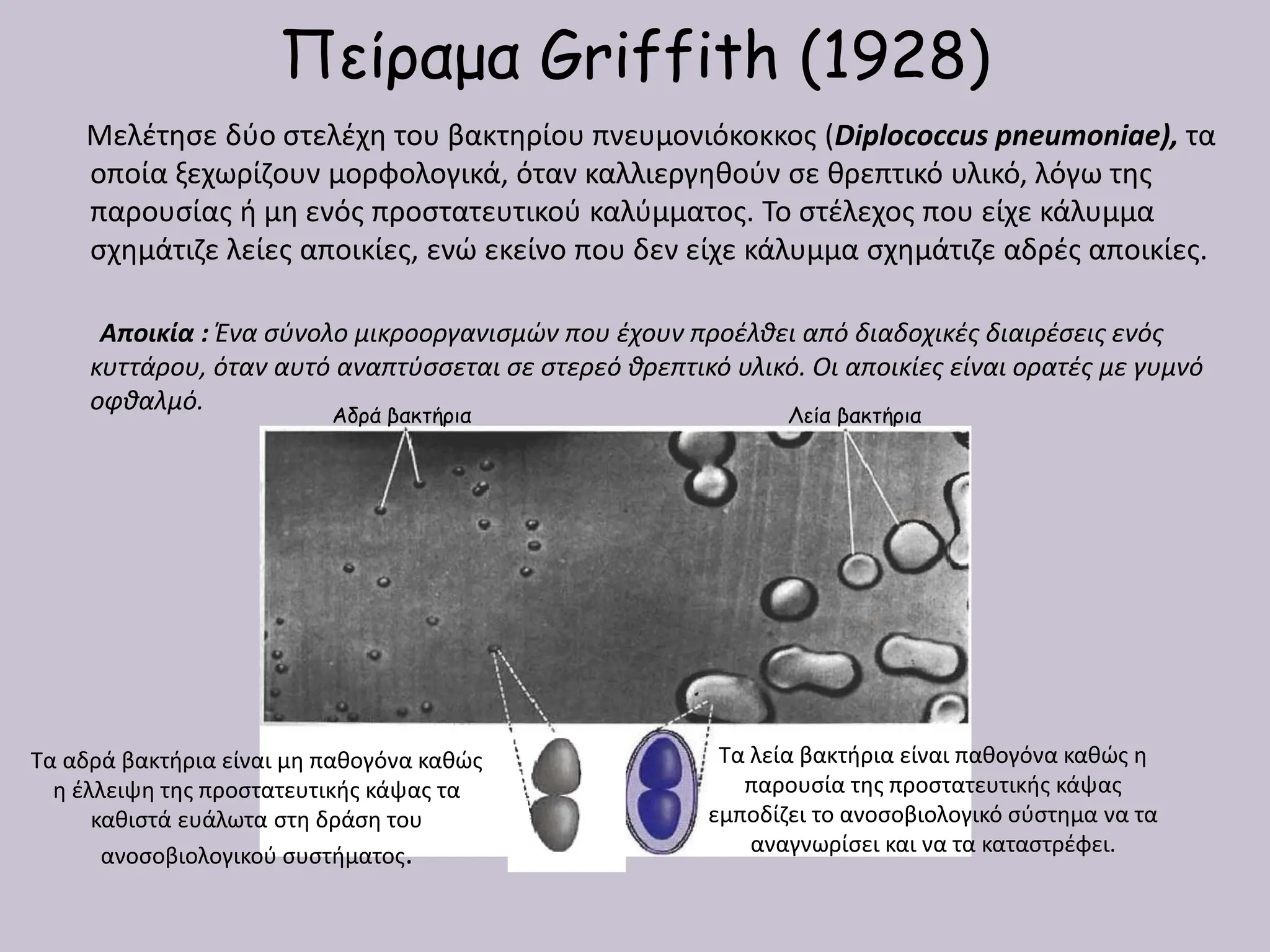 ALykeiou_to _genetiko_yliko_biologia_kat_kef1.pdf