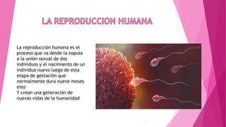 BIOLOGIA LA REPRODUCCION HUMANA (1).pptx