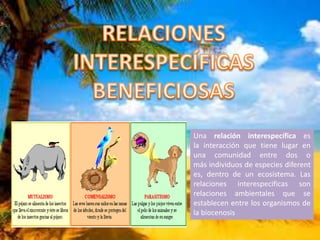 Biologia medio ambiente | PPTX