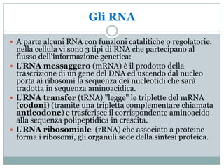 Biologia Molecolare | PPTX | Genetics | Science