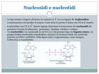 Biologia Molecolare | PPTX | Genetics | Science
