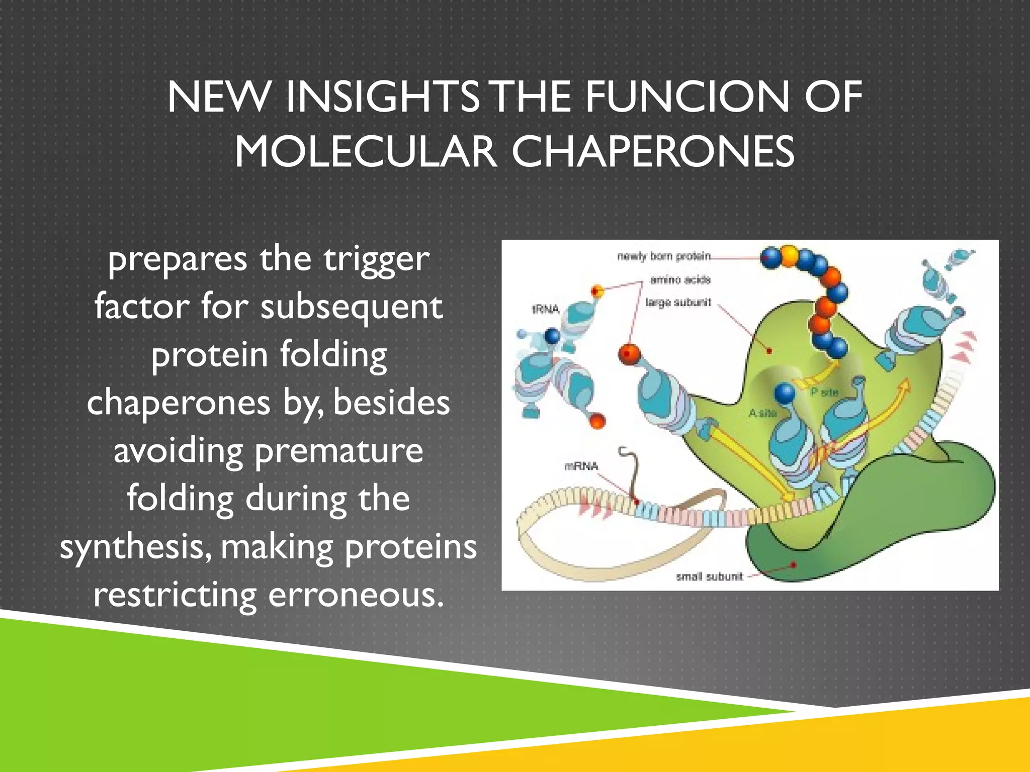Biologia molecular CHAPERONAS | PPT