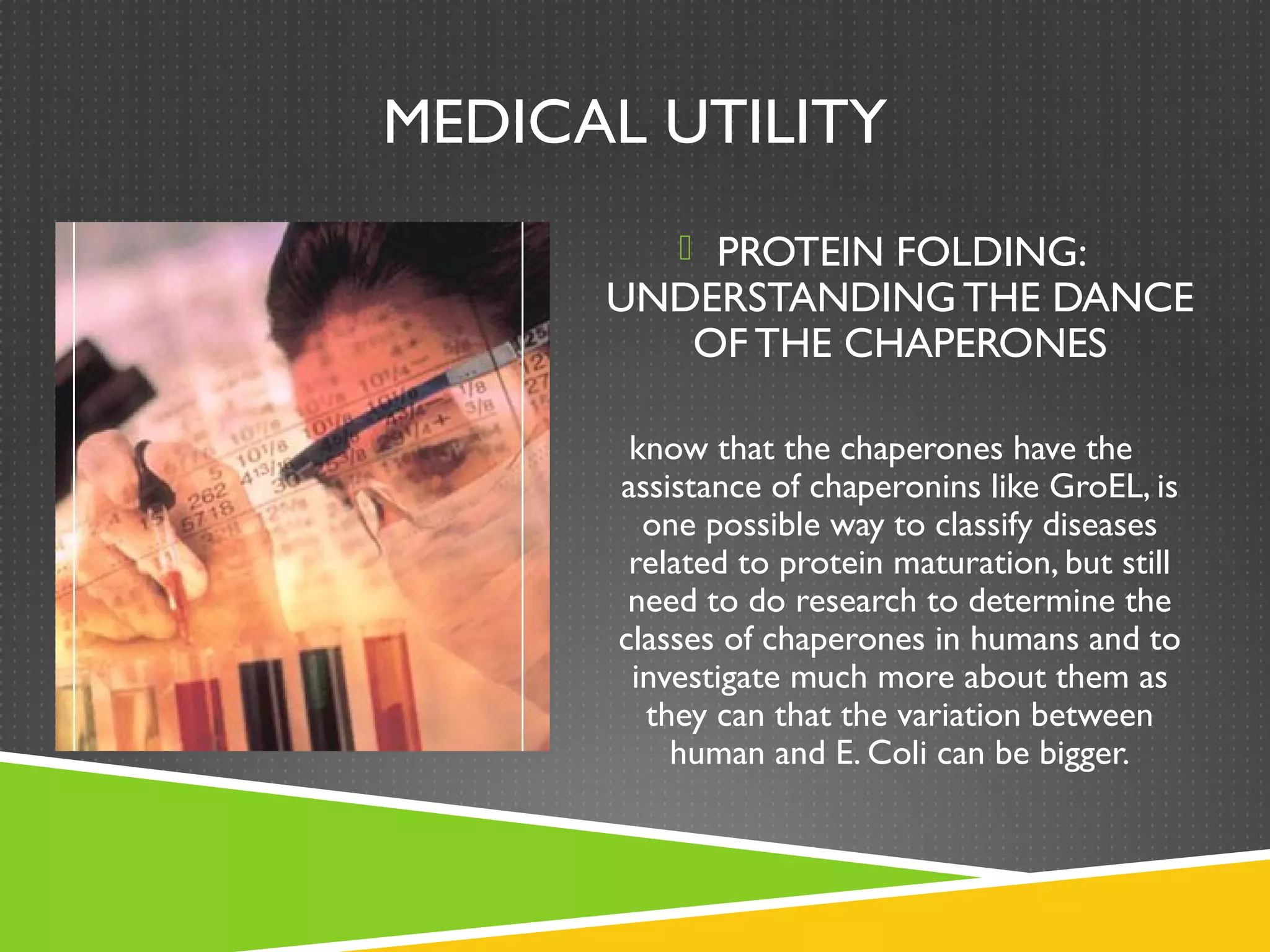 Biologia molecular CHAPERONAS | PPT