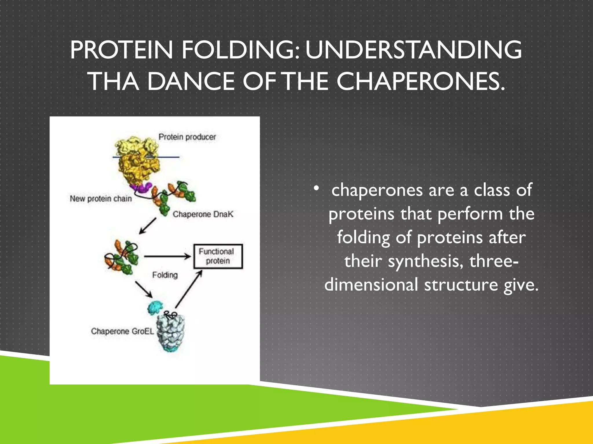 Biologia molecular CHAPERONAS | PPT
