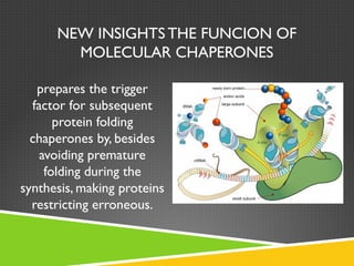 Biologia molecular CHAPERONAS | PPT