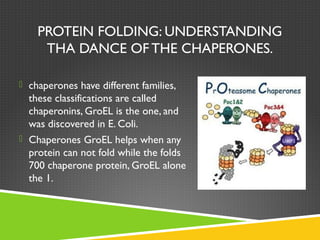 Biologia molecular CHAPERONAS | PPT