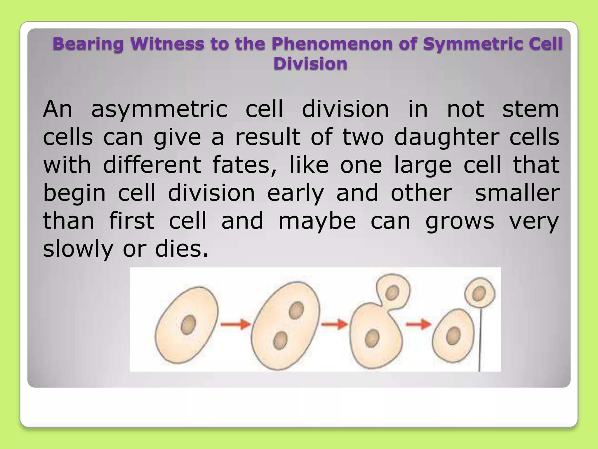Biologia molecular | PPTX