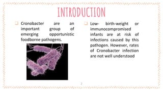 SEMINARIO BIOLOGIA MOLECULAR | PDF