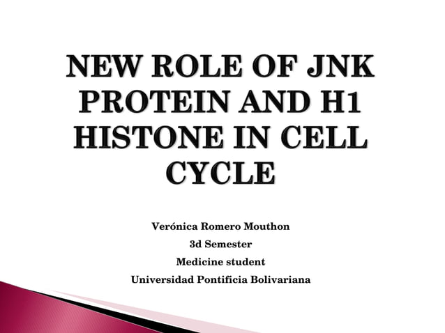 New role of JNK protein and H1 Histone in the cell cycle | PPT