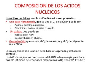 Biologia molecular DNA | PDF