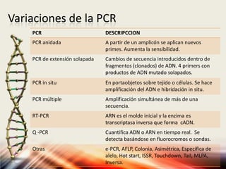 Biología molecular para profesionales de la salud II | PPTX