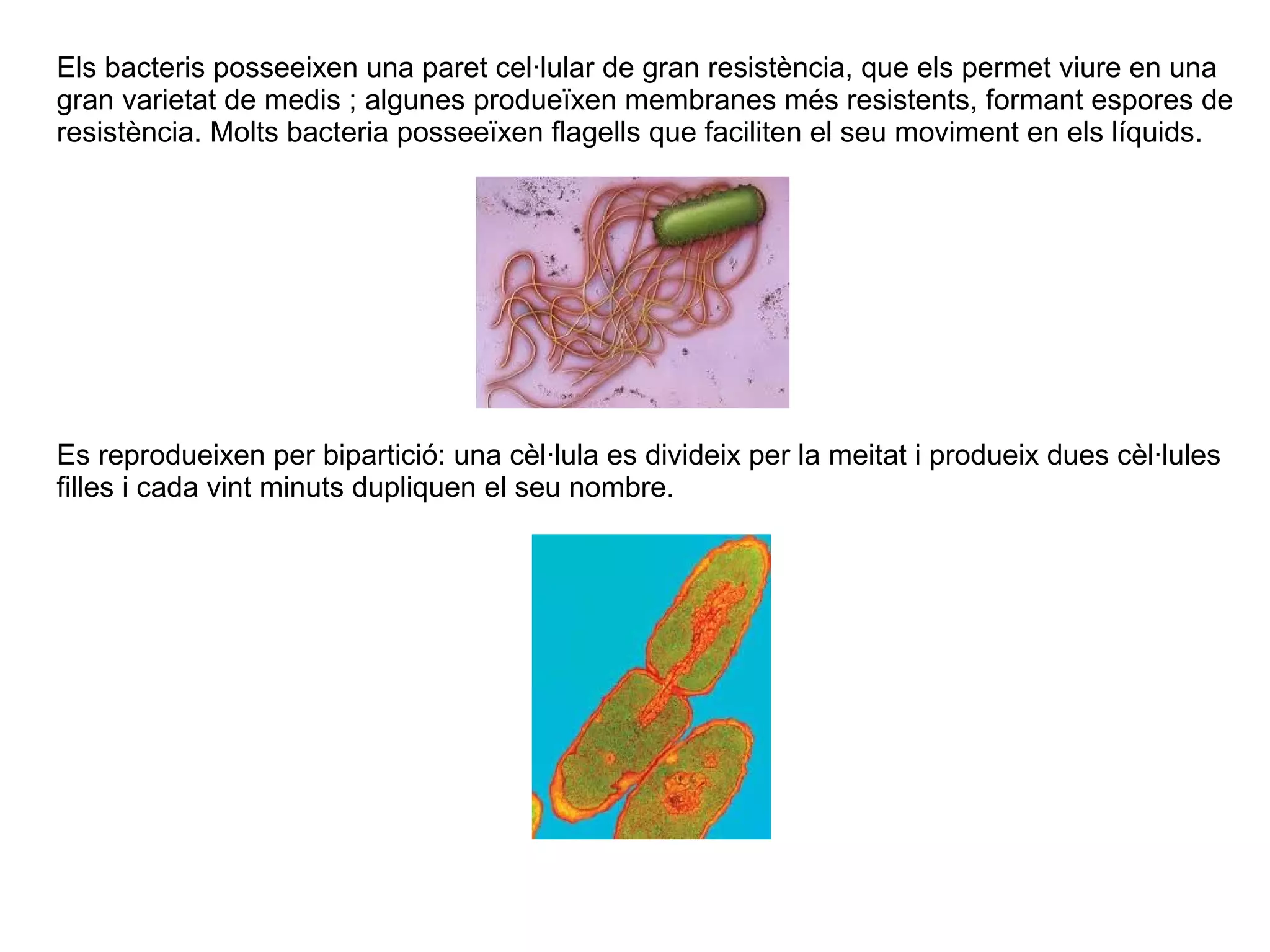 Biologia moneres | PDF
