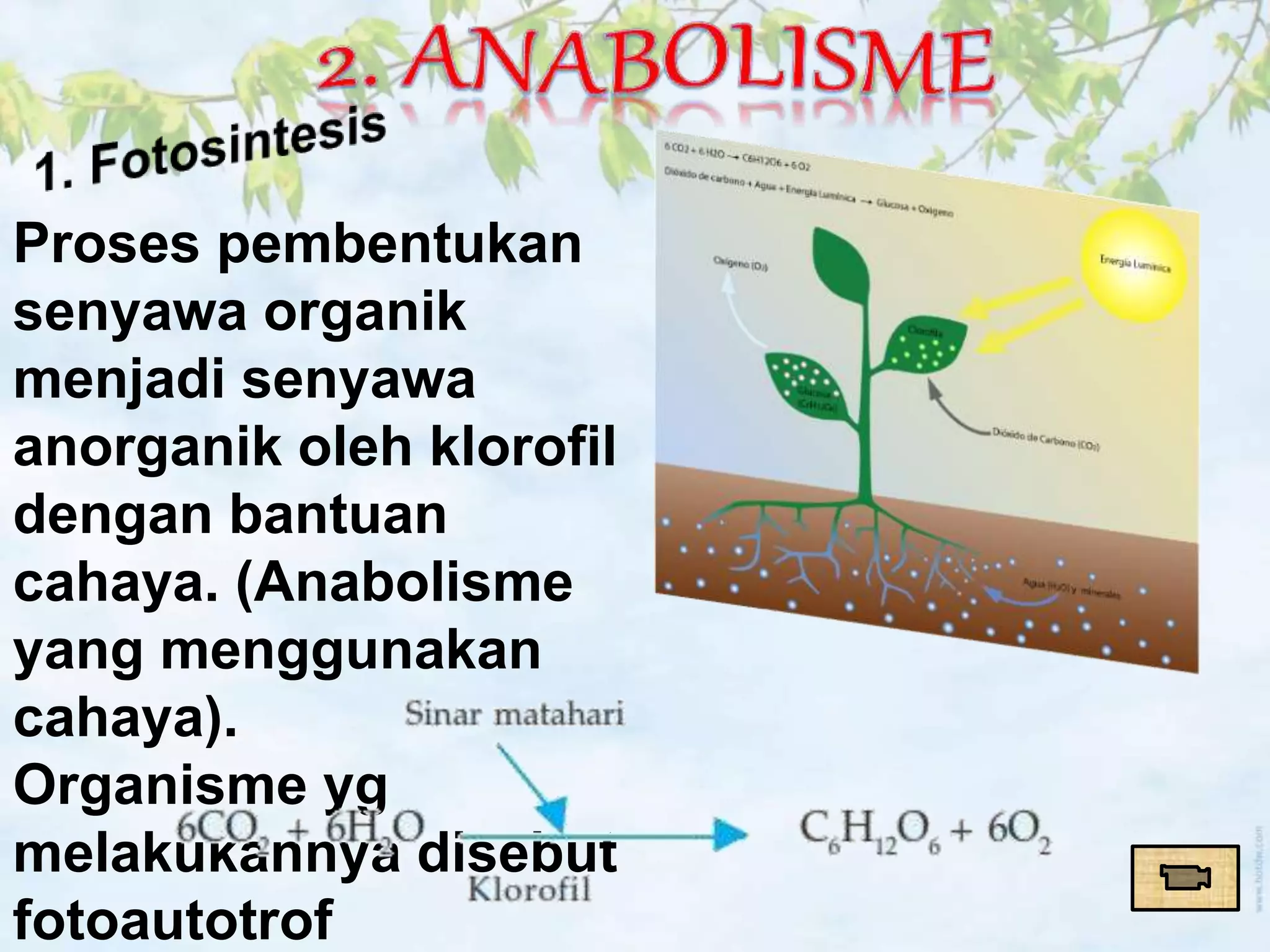 BIOLOGI KELAS XII SEMESTER I - BAB II ENZIM DAN METABOLISME MAKHLUK ...