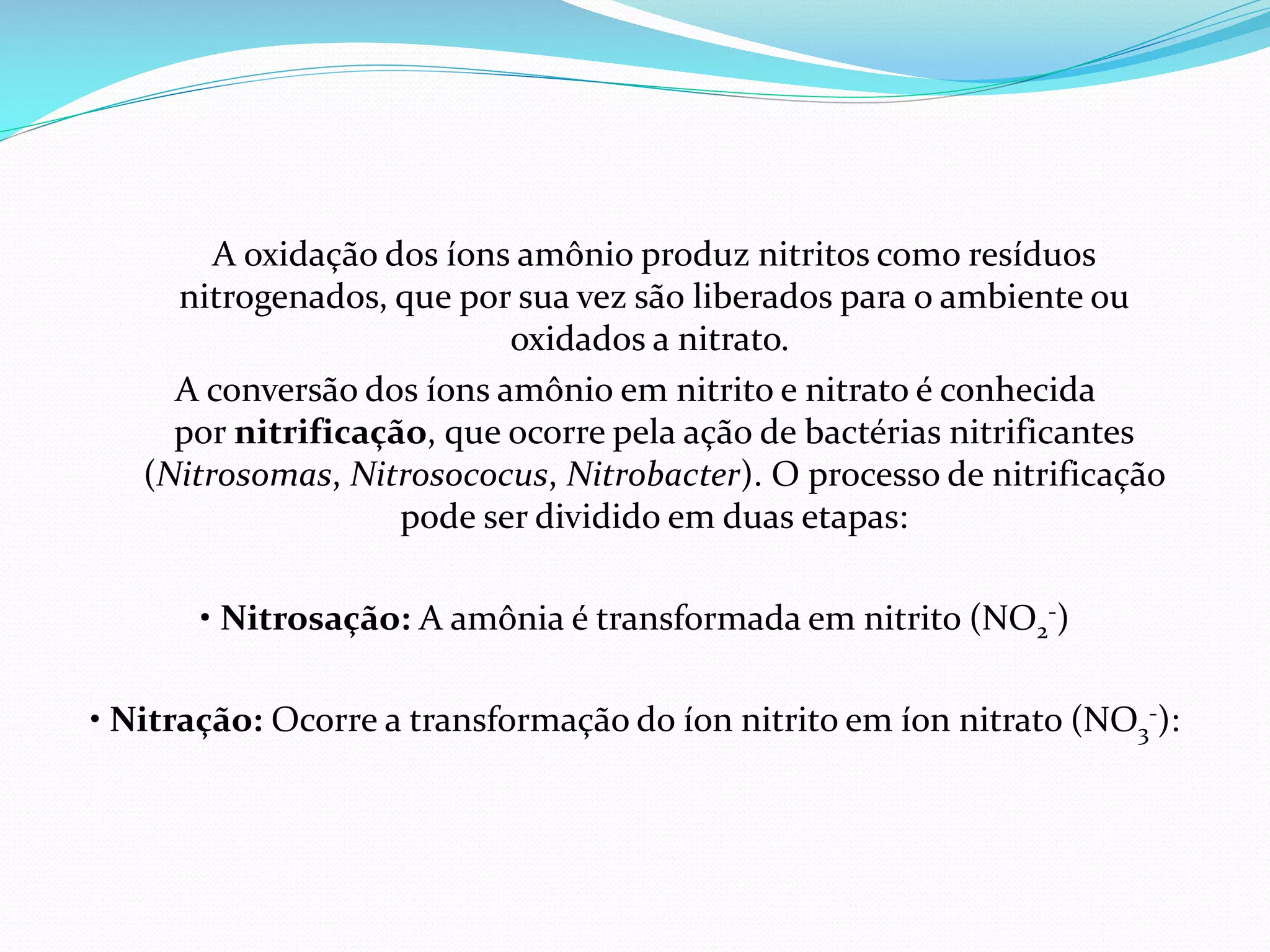 CICLO DO NITROGENIO | PPTX