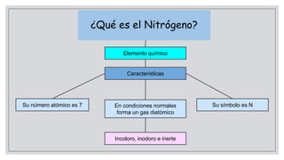 Ciclo Del Nitrogeno Esquema