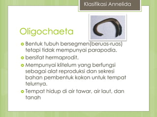 Biologi annelida | PPTX