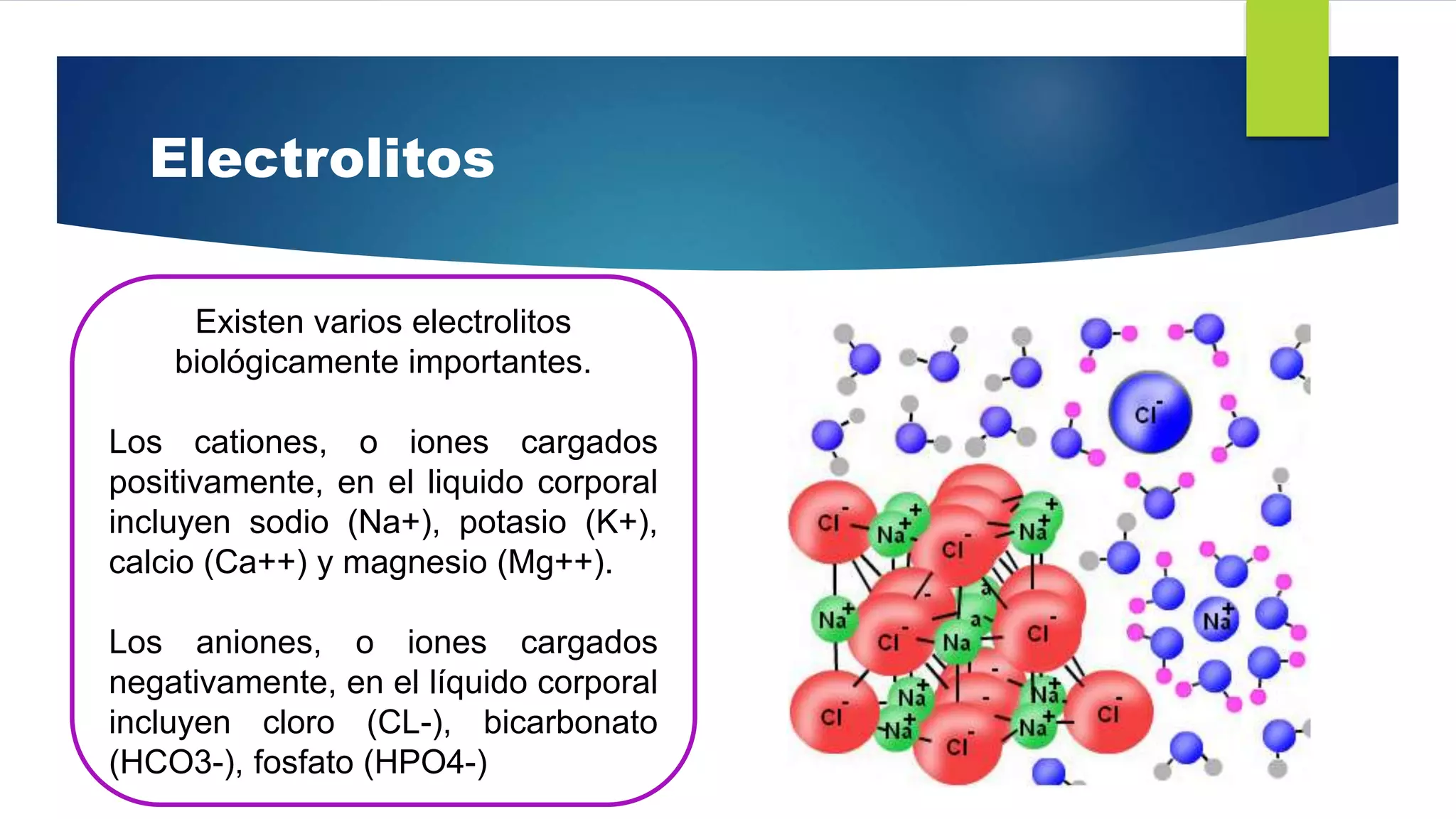 Líquidos y Electrolitos corporales | PPTX